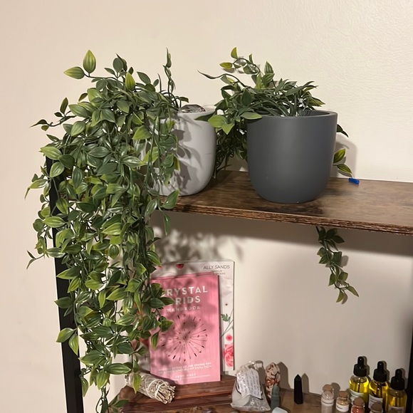 Other | Fake Falling Plants | Poshmark